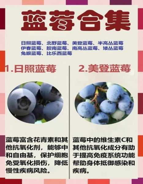 女人吃蓝莓的好处和坏处_长期吃会宫寒吗-第1张图片-山城妙识