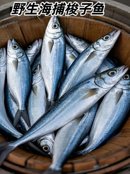 梭子鱼长什么样子_梭子鱼图片大全高清-第2张图片-山城妙识