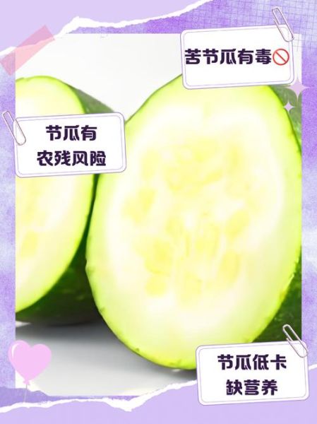 节瓜什么人不能吃_节瓜禁忌人群有哪些-第2张图片-山城妙识