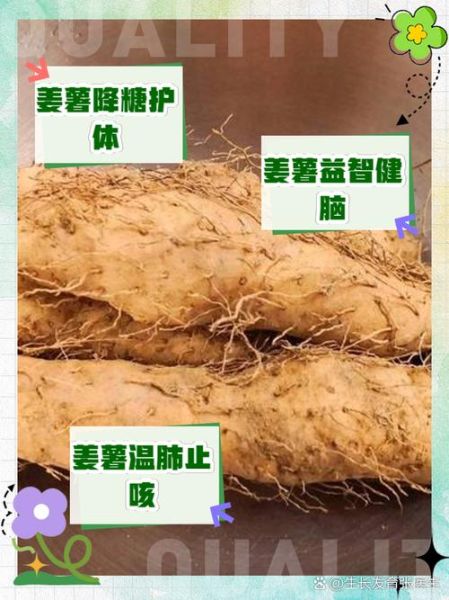 姜薯和山药的区别_哪个更好吃-第3张图片-山城妙识