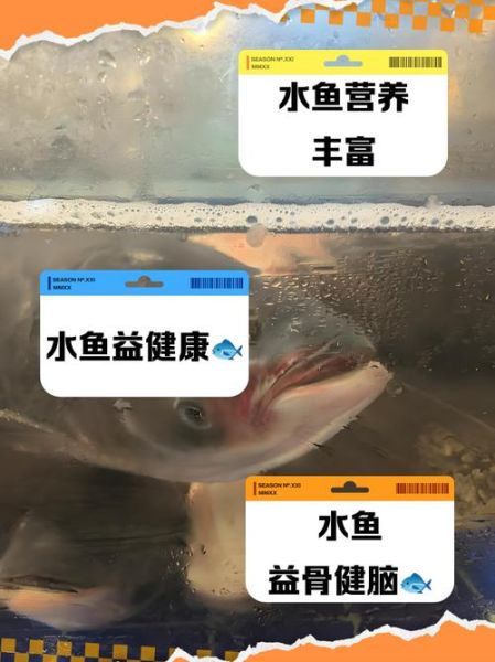 水鱼的功效与作用_水鱼的禁忌有哪些-第3张图片-山城妙识