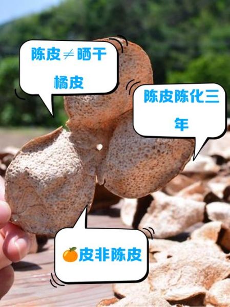 橘子皮和陈皮一样吗_陈皮和橘子皮的功效区别-第3张图片-山城妙识