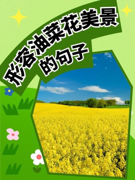 赏油菜花的心情句子_油菜花怎么形容才动人-第2张图片-山城妙识