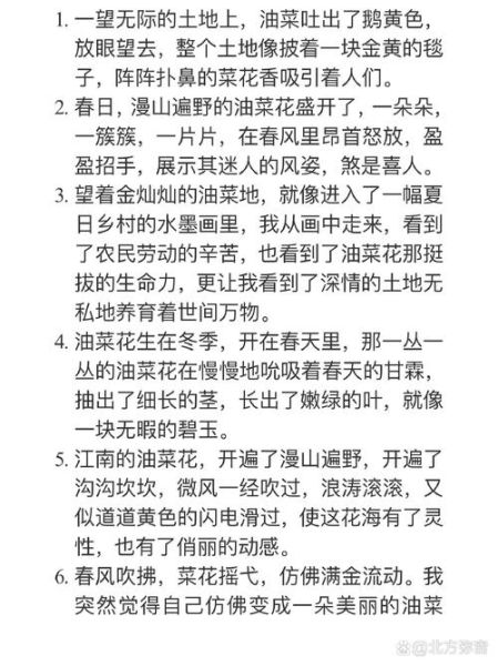 赏油菜花的心情句子_油菜花怎么形容才动人-第1张图片-山城妙识