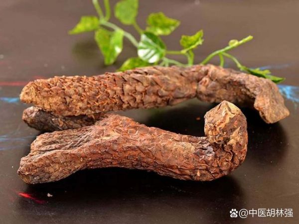 补肾药材有哪些_肾虚吃什么中药好-第1张图片-山城妙识 补肾药材有哪些_肾虚吃什么中药好-第1张图片-山城妙识