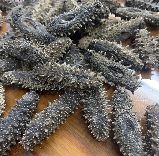 在家怎样发干海参_干海参泡发全过程-第1张图片-山城妙识