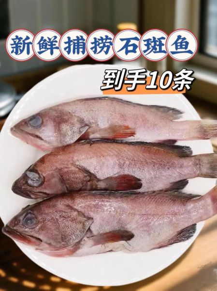 石斑鱼刺多吗_石斑鱼适合孩子吃吗-第3张图片-山城妙识