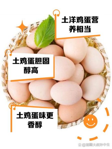 土鸡蛋和洋鸡蛋有什么区别_哪个更有营养-第3张图片-山城妙识