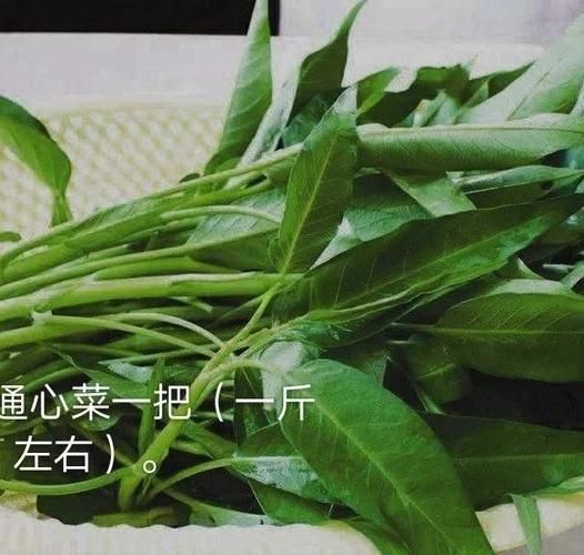广东腐乳通菜怎么炒才脆_腐乳通菜做法窍门-第2张图片-山城妙识