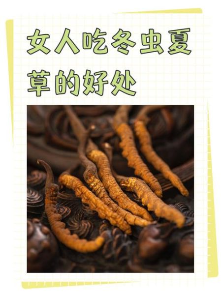 冬虫夏草一天吃几根_冬虫夏草怎么吃效果最好-第2张图片-山城妙识