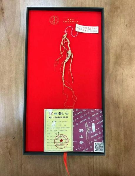 人参多少钱一根_人参价格受哪些因素影响-第2张图片-山城妙识 人参多少钱一根_人参价格受哪些因素影响-第2张图片-山城妙识