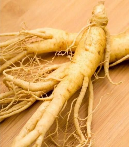 人参多少钱一根_人参价格受哪些因素影响-第1张图片-山城妙识 人参多少钱一根_人参价格受哪些因素影响-第1张图片-山城妙识