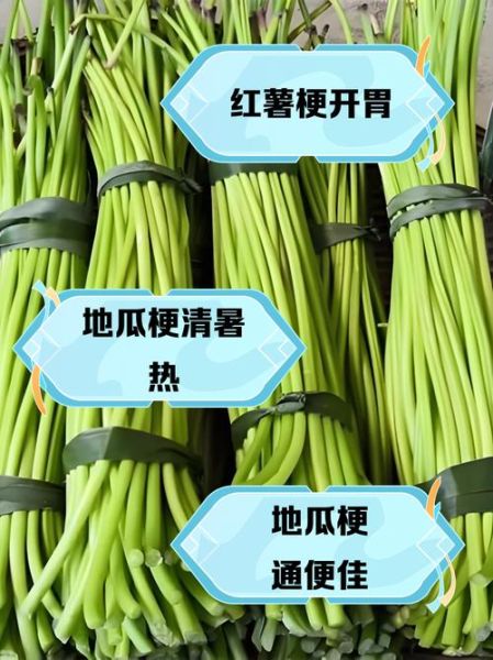 地瓜梗的功效与作用_地瓜梗的禁忌有哪些-第2张图片-山城妙识