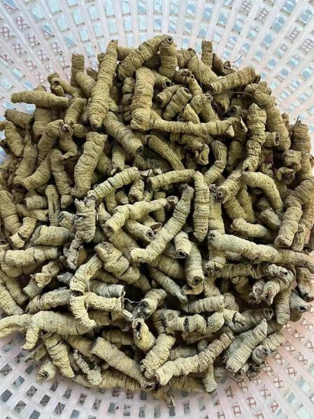 广东煲汤食材有哪些_广东煲汤用什么料最正宗-第3张图片-山城妙识