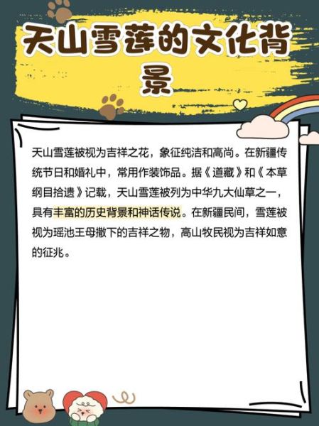 天山雪莲价格多少钱_天山雪莲价格为什么贵-第1张图片-山城妙识 天山雪莲价格多少钱_天山雪莲价格为什么贵-第1张图片-山城妙识