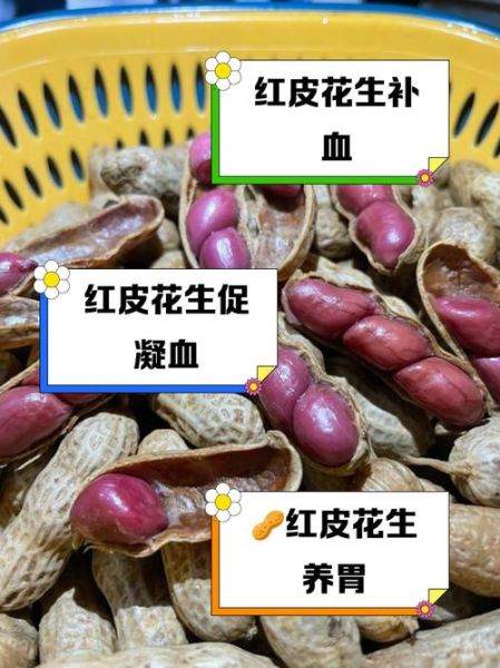 红皮花生米补血吗_红皮花生米怎么吃最营养-第2张图片-山城妙识