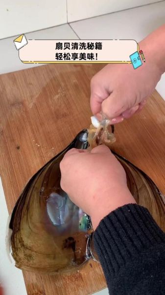 扇贝肉怎么清洗_扇贝肉清洗视频教程-第2张图片-山城妙识