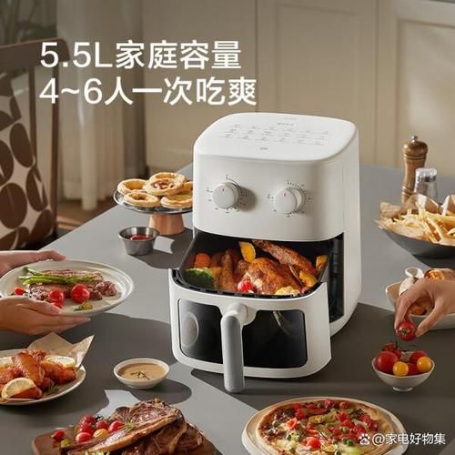 空气炸烤箱哪个牌子好_怎么选不踩坑-第3张图片-山城妙识