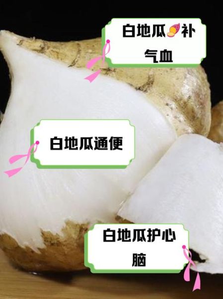 白地瓜的功效与作用及禁忌_白地瓜什么人不能吃-第2张图片-山城妙识
