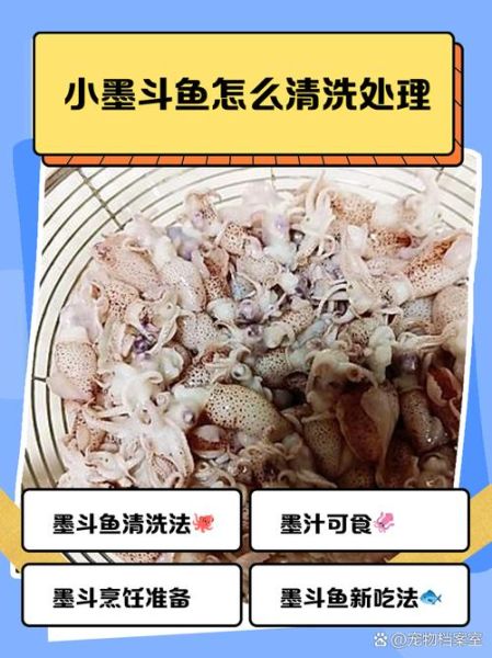 墨鱼怎么清洗_墨鱼做法大全视频-第1张图片-山城妙识
