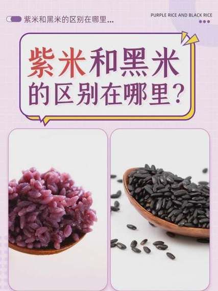 紫米和黑米哪个好_紫米和黑米营养区别-第1张图片-山城妙识