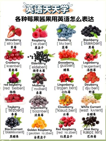 水果的英语单词有哪些_如何快速记忆100个水果英文-第1张图片-山城妙识