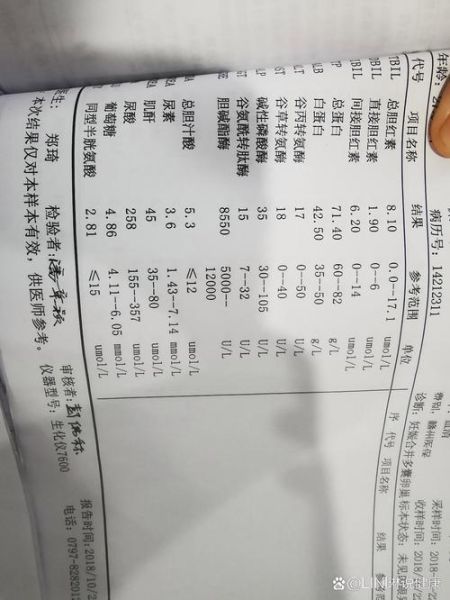 碱性磷酸酶偏低是什么原因_偏低怎么办-第3张图片-山城妙识 碱性磷酸酶偏低是什么原因_偏低怎么办-第3张图片-山城妙识