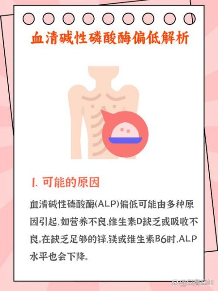 碱性磷酸酶偏低是什么原因_偏低怎么办-第2张图片-山城妙识 碱性磷酸酶偏低是什么原因_偏低怎么办-第2张图片-山城妙识