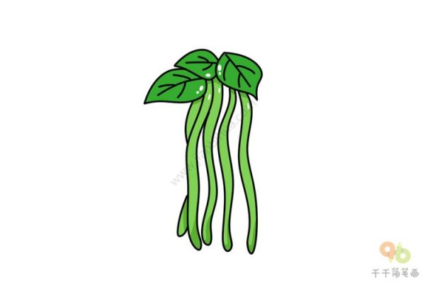 四季豆简笔画怎么画_四季豆简笔画步骤图-第3张图片-山城妙识 四季豆简笔画怎么画_四季豆简笔画步骤图-第3张图片-山城妙识