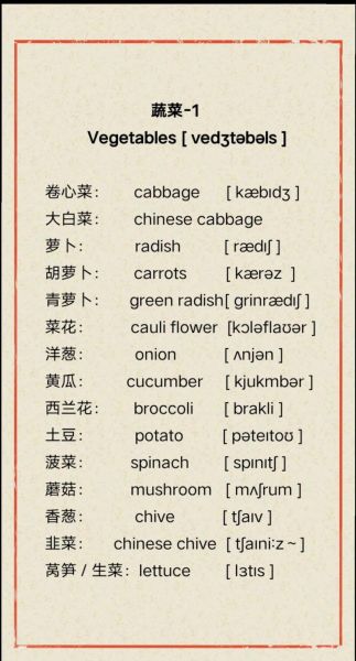 蔬菜的英文怎么读_vegetable发音技巧-第1张图片-山城妙识