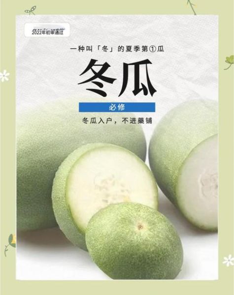 冬瓜减肥能吃吗_冬瓜热量高吗-第1张图片-山城妙识