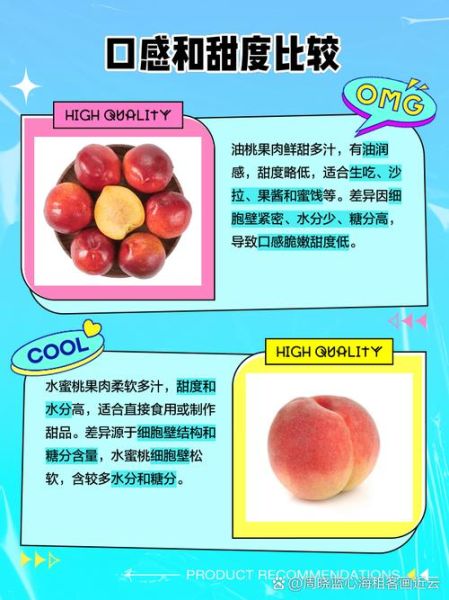 蜜桃怎么挑选_蜜桃和油桃的区别-第1张图片-山城妙识
