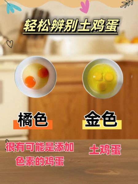 柴鸡蛋和普通鸡蛋的区别_哪个更有营养-第2张图片-山城妙识