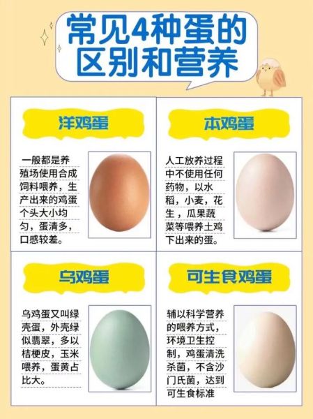 柴鸡蛋和普通鸡蛋的区别_哪个更有营养-第1张图片-山城妙识