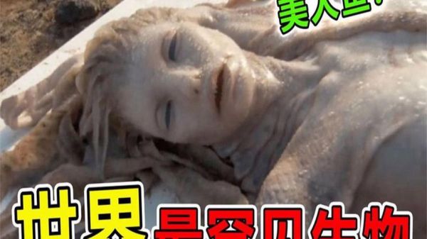 美人鱼真的存在吗_美人鱼真实事件-第1张图片-山城妙识