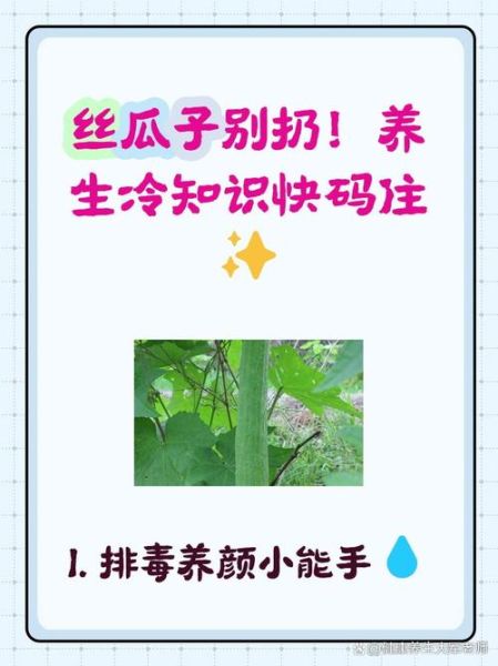 丝瓜子怎么吃_丝瓜子食用方法大全-第2张图片-山城妙识