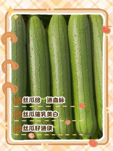 丝瓜子怎么吃_丝瓜子食用方法大全-第3张图片-山城妙识