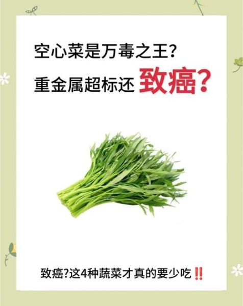 空心菜为什么被称为毒中之王_空心菜重金属超标是真的吗-第1张图片-山城妙识 空心菜为什么被称为毒中之王_空心菜重金属超标是真的吗-第1张图片-山城妙识