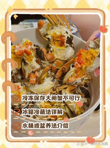 大闸蟹冷冻保存能放多久_大闸蟹冷冻后怎么蒸才好吃-第1张图片-山城妙识 大闸蟹冷冻保存能放多久_大闸蟹冷冻后怎么蒸才好吃-第1张图片-山城妙识