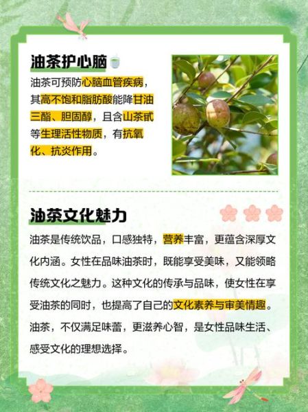 长期喝油茶有什么好处_长期喝油茶对身体好吗-第1张图片-山城妙识