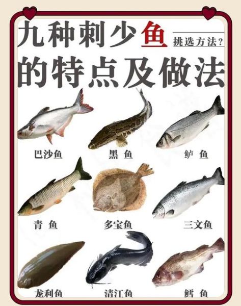 刺少是什么鱼_刺少适合宝宝吃吗-第1张图片-山城妙识
