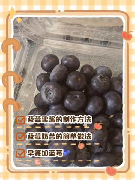 蓝莓一天吃多少合适_吃蓝莓的最佳时间-第3张图片-山城妙识