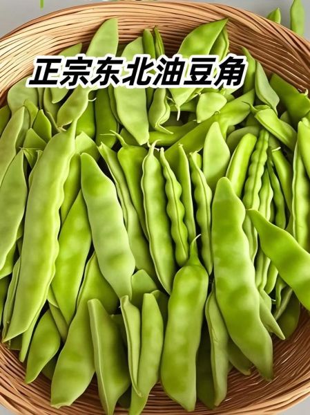 油豆角的功效与作用_油豆角怎么吃好-第1张图片-山城妙识