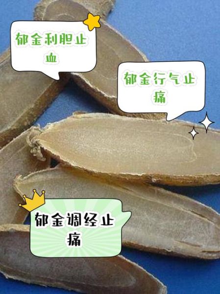 郁金的功效与作用及食用方法_郁金怎么吃效果最好-第2张图片-山城妙识 郁金的功效与作用及食用方法_郁金怎么吃效果最好-第2张图片-山城妙识