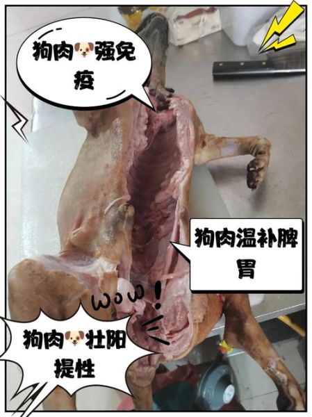 狗肉吃多了有什么副作用_狗肉禁忌人群有哪些-第2张图片-山城妙识