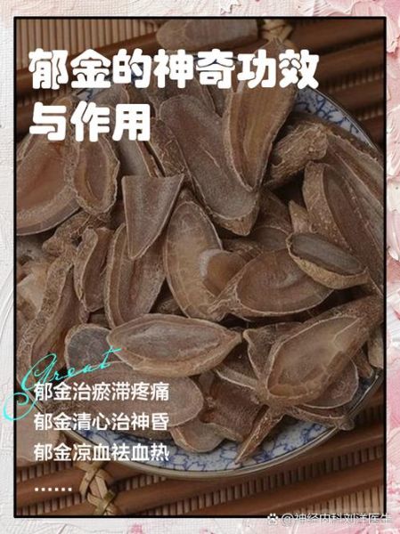 郁金的功效与作用及食用方法_郁金怎么吃效果最好-第3张图片-山城妙识 郁金的功效与作用及食用方法_郁金怎么吃效果最好-第3张图片-山城妙识