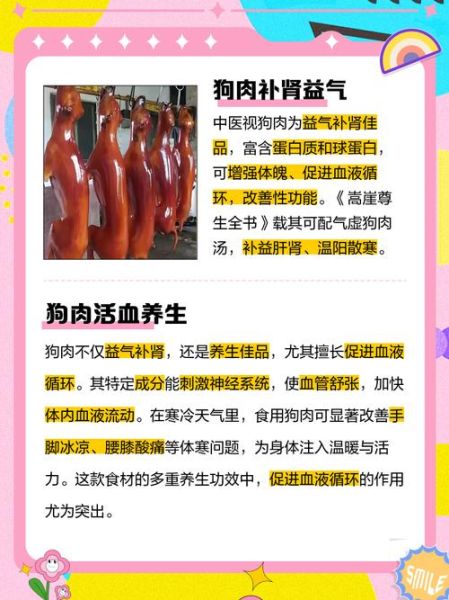 狗肉吃多了有什么副作用_狗肉禁忌人群有哪些-第3张图片-山城妙识
