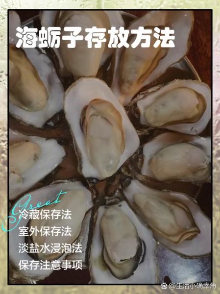 海蛎子怎么保存_海蛎子可以放多久-第1张图片-山城妙识 海蛎子怎么保存_海蛎子可以放多久-第1张图片-山城妙识