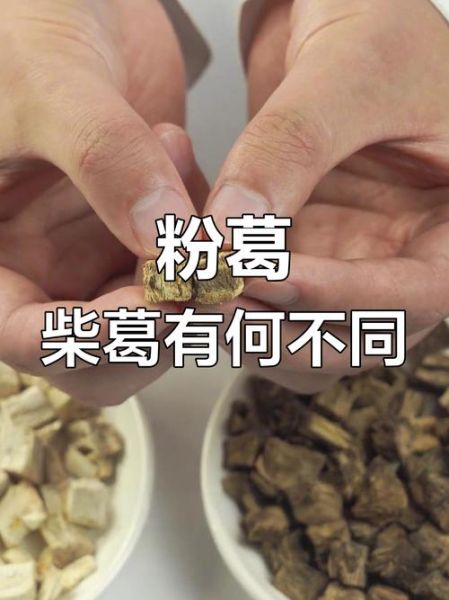 粉葛根与柴葛根哪个好_功效区别与选购指南-第2张图片-山城妙识 粉葛根与柴葛根哪个好_功效区别与选购指南-第2张图片-山城妙识