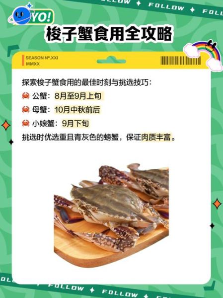 大闸蟹多少钱一斤_梭子蟹价格表2024-第3张图片-山城妙识